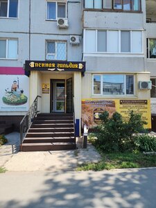 Bira dükkanı Pennaya Gil'diya, Balakovo, foto