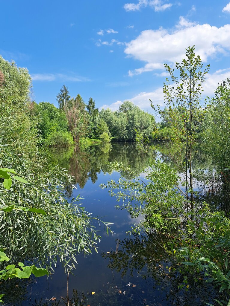 Kültür ve eğlence parkları Rechitsky Arboretum, Gomelskaya oblastı, foto
