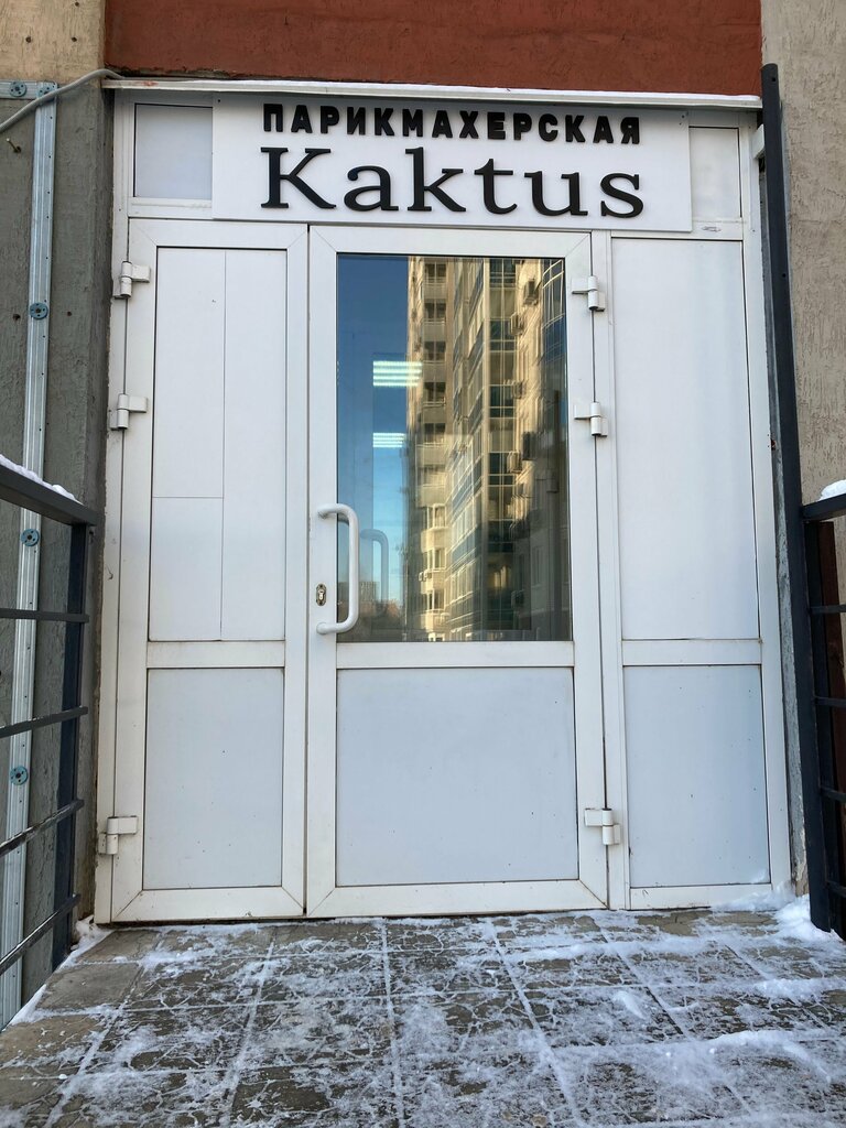 Kuaförler Kaktus, Izhevsk, foto