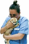 Mercy (B6, 16 Street, Al Safa 1, Jumeirah, Dubai), veteriner klinikleri  Dubai'den
