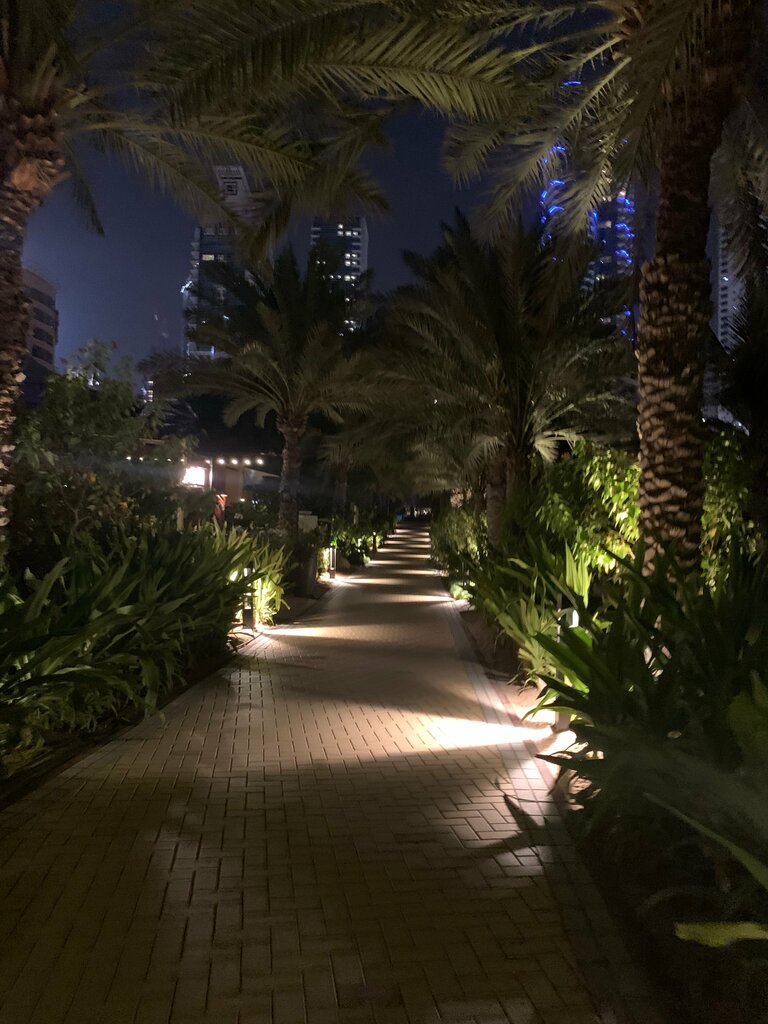 Kafe Vaishalis Bombay Bites, Dubai, foto