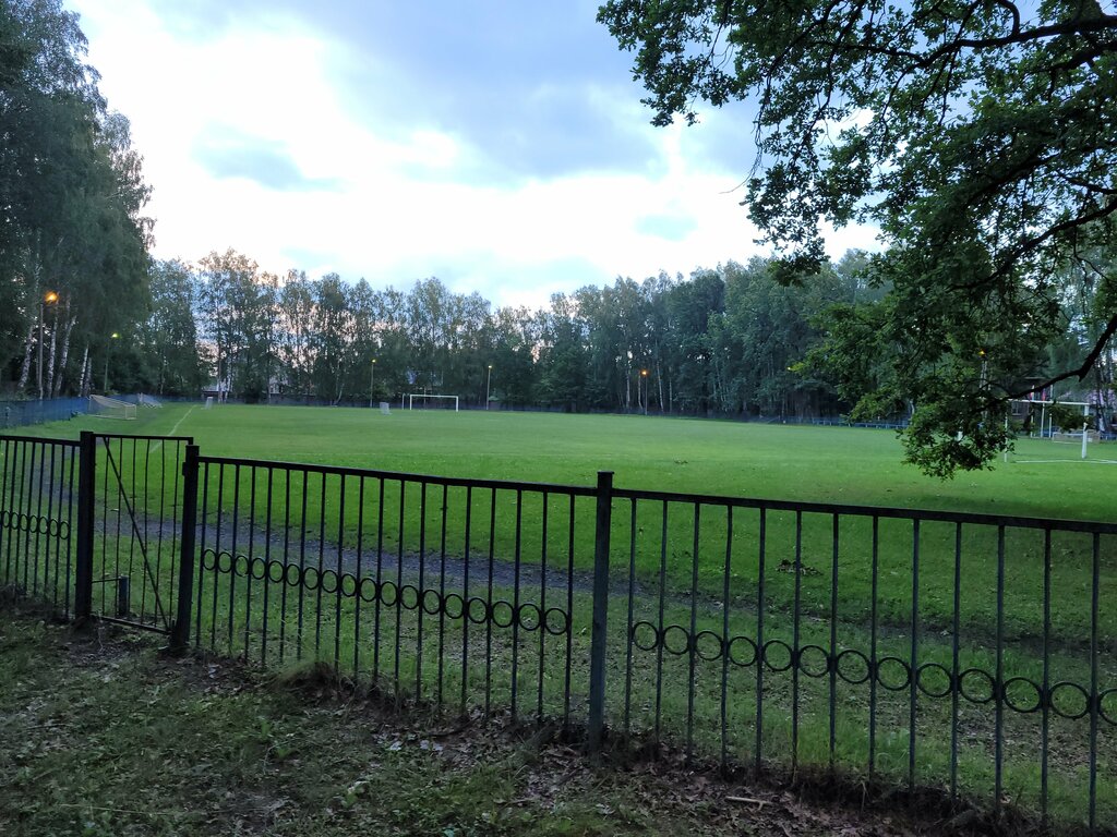 Spor alanı Sports ground, Moskova ve Moskovskaya oblastı, foto