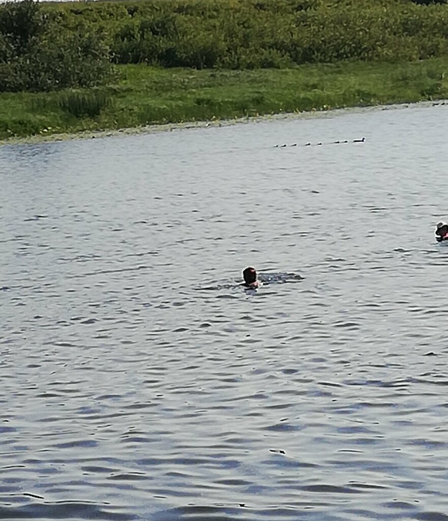 Plaj Дачный пляж, Spask‑Riazanski, foto