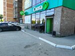 Цветы (ulitsa Lermontova No:275/11), çiçekçiler  Irkutsk'tan