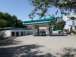 Delta Oil (Jibek Joly dańǵyly No:24/2), benzin istasyonu  Çimkent'ten (Şımkent'ten)