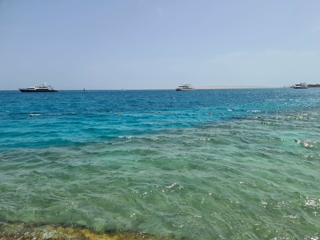 Turistik yerler коралловый риф, Hurgada, foto