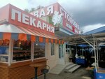 Кулинария (Rashpilevskaya ulitsa No:135), kantin, yemekhane  Krasnodar'dan