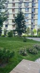 Bassenov Residential Complex (Tóleý Básenov kóshesi No:10П), konut blokları  Almatı'dan