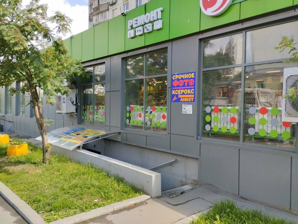 Fotoğraf hizmetleri Petushkoffoto, Moskova, foto