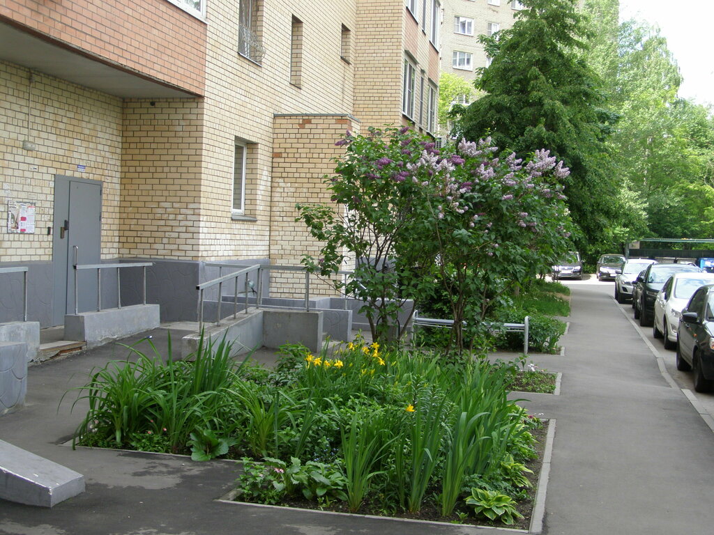 Bina, site yönetimi TSZh Dvoryanskaya sloboda, Liubertsy, foto