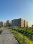 Rudenko Street (Moscow, Novomoskovskiy Administrative Okrug, Scherbinka District, Ostafyevskoe Highway), toplu taşıma durağı  Moskova'dan