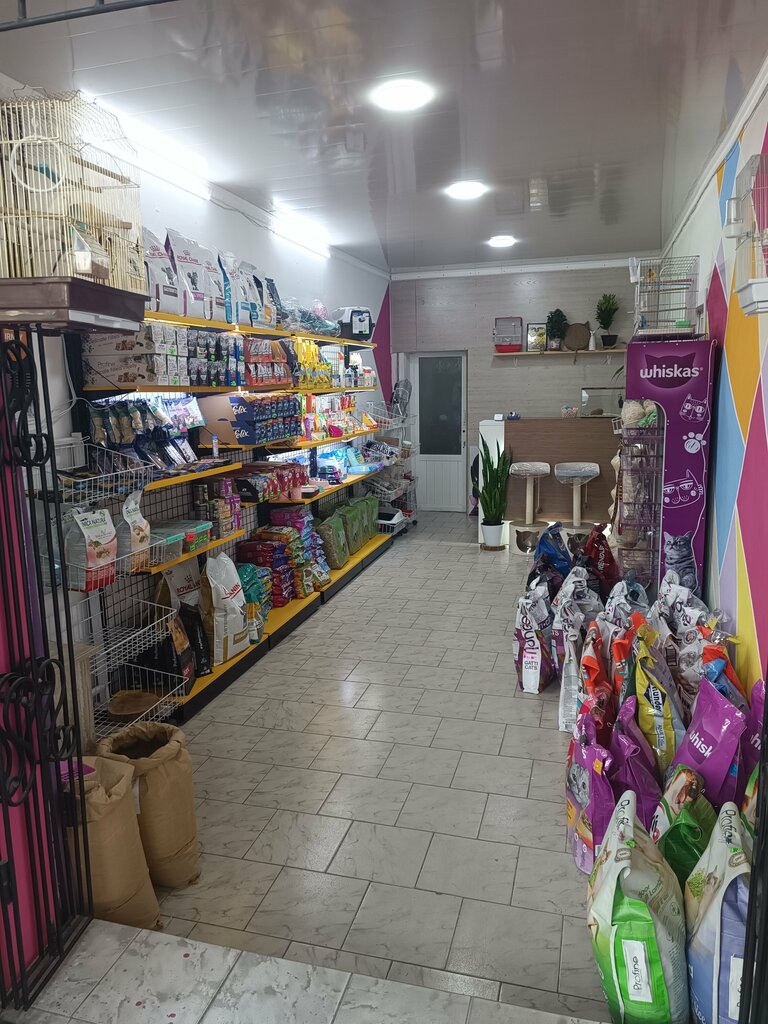 Petshop Зоолавка, Taşkent, foto