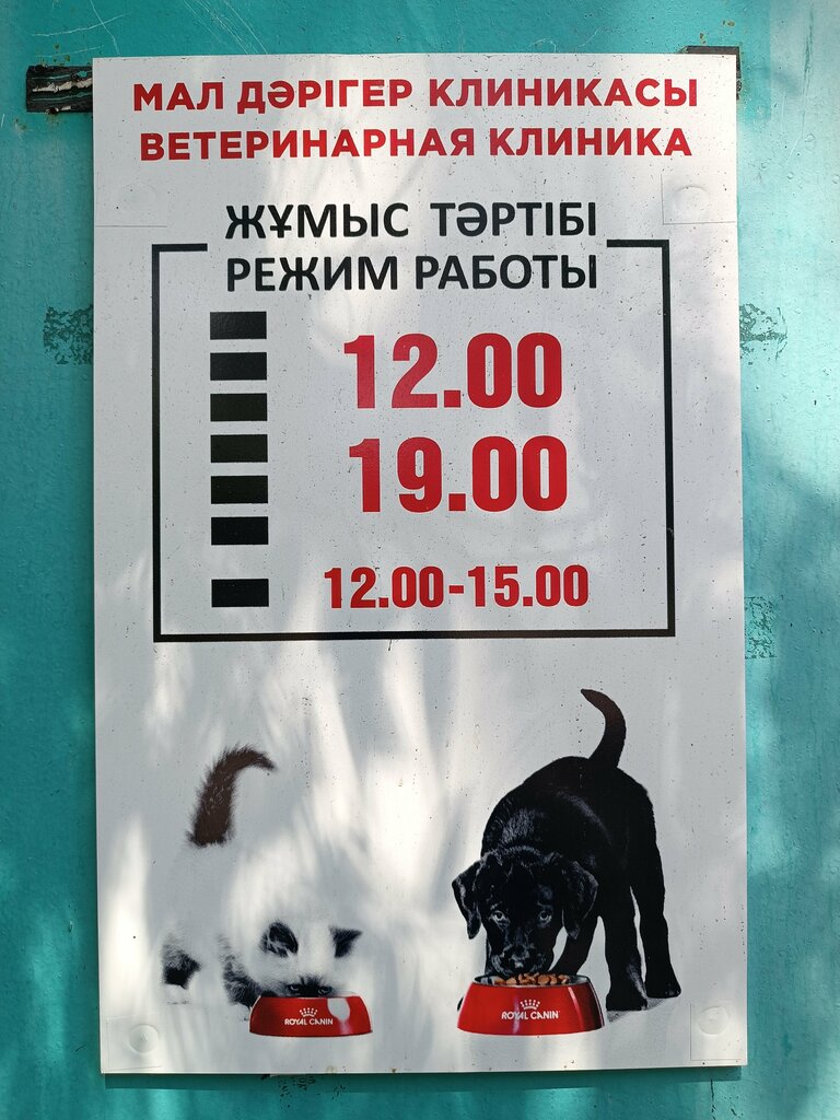 Veteriner klinikleri Ezhkin Kot, Yekibastuz (Ekibastuz), foto