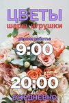 Магазин цветов (Petrovskaya ulitsa No:6, posyolok Petrovskiy), çiçekçiler  Tulskaya oblastından