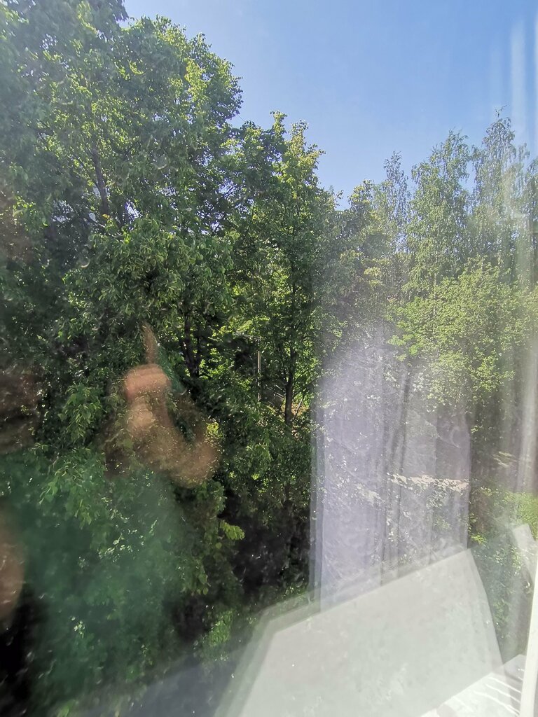 Kültür ve eğlence parkları сквер Исаака Шифа, Petrozavodsk, foto