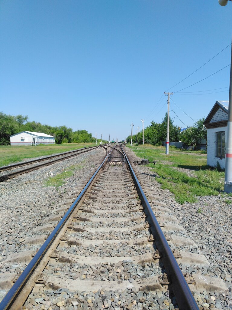 Tren istasyonu станция Гамалеевка, Orenburgskaya oblastı, foto