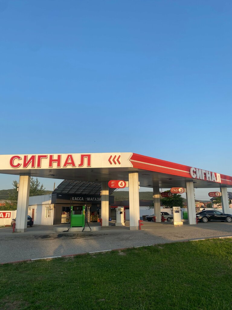 Benzin istasyonu Сигнал, Çeçen Cumhuriyeti, foto
