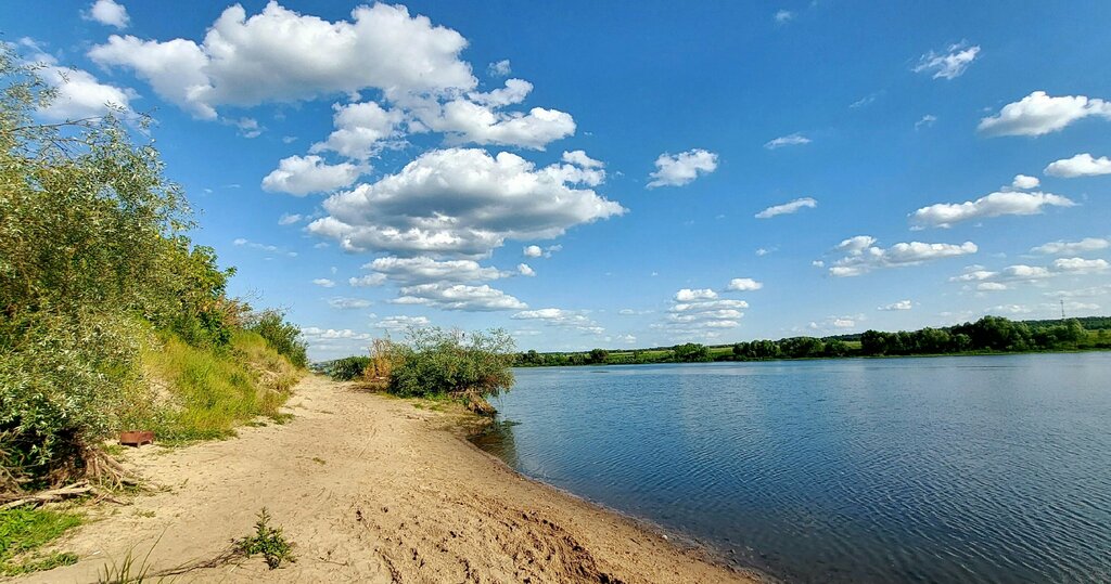 Plaj Тарбушевский пляж, Moskova ve Moskovskaya oblastı, foto