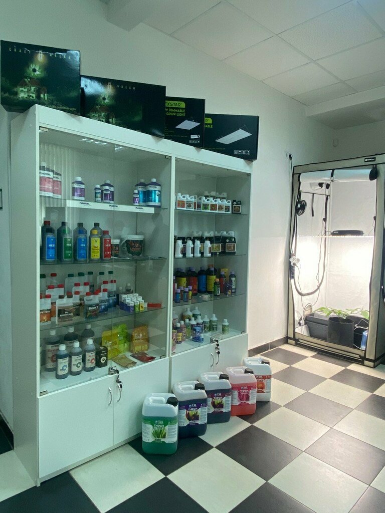 Bahçecilik mağazaları AgroDom, Moskova, foto