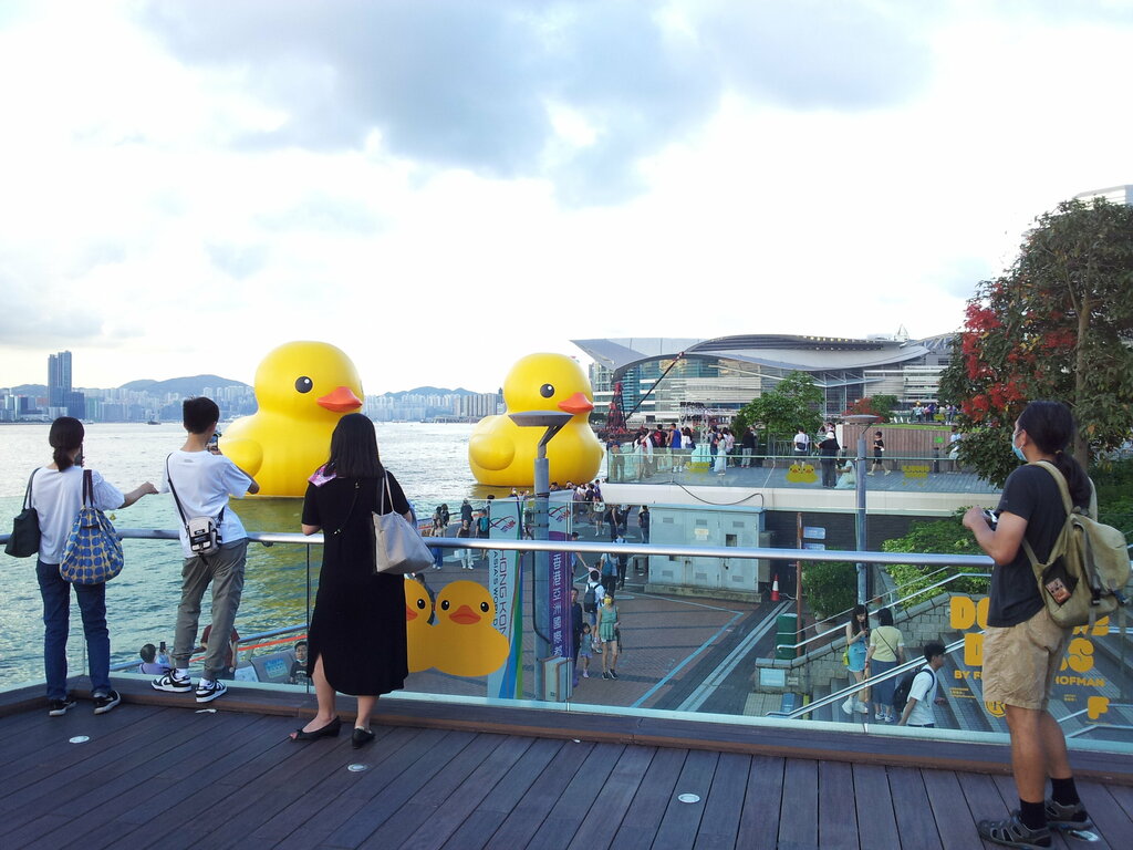Seyir terası Viewing Platforms No.1-8, Hong Kong, foto