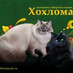 Хохлома Питомник Сибирских кошек (Fergansky Drive No:7к1), evcil hayvan yetiştiricileri  Moskova'dan