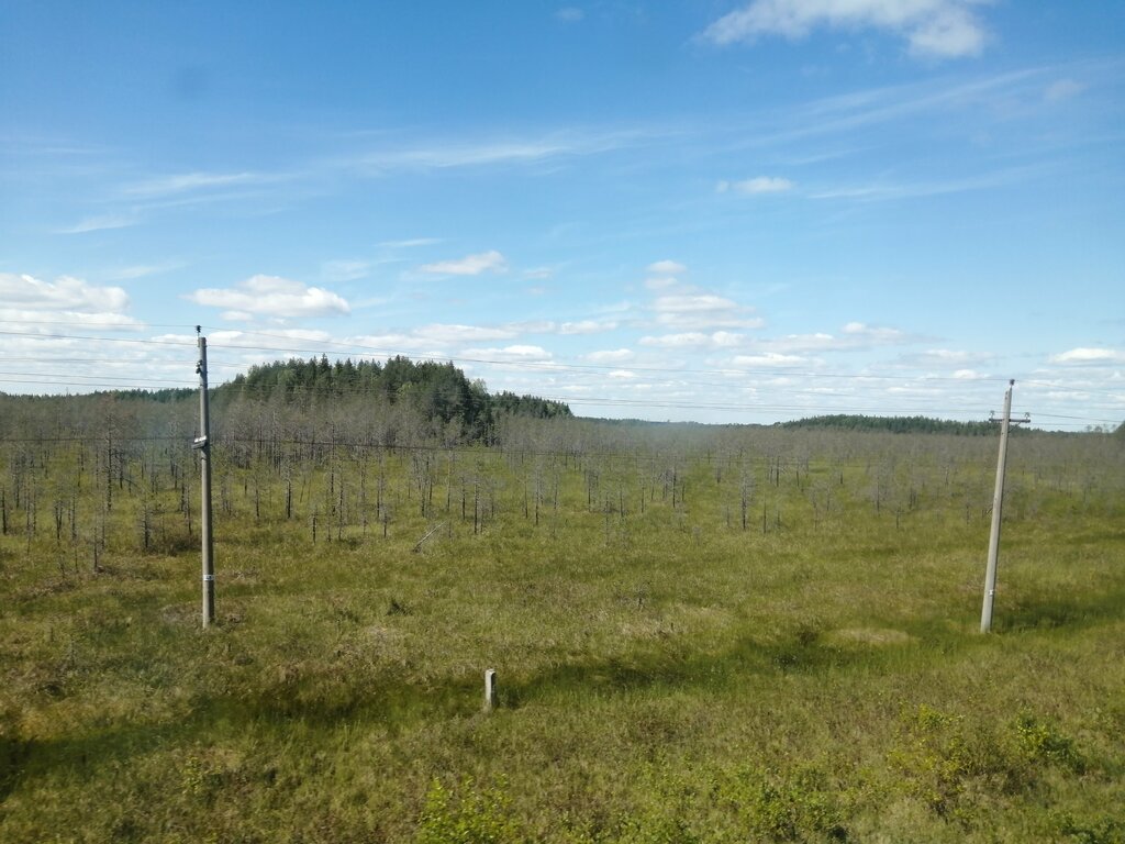 Tren istasyonu остановочный пункт 1129 километр, Arhangelskaya oblastı, foto