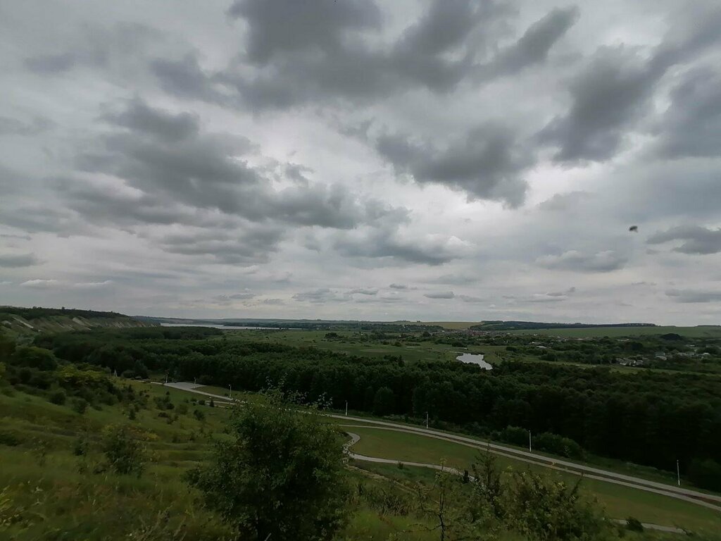 Orman урочище Белая Гора, Belgorodskaya oblastı, foto