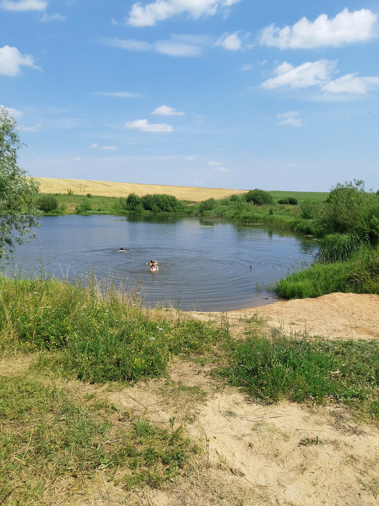 Plaj Пляж, Nijegorodskaya oblastı, foto