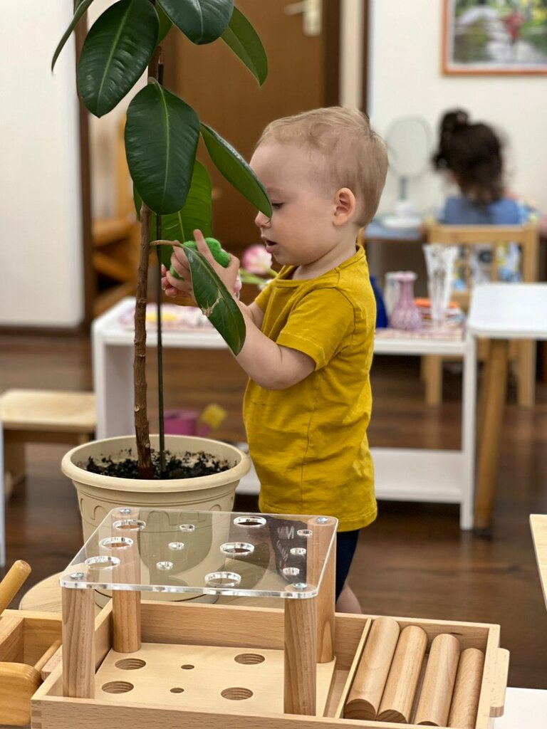 Çocuk gelişim merkezleri Pearl Montessori Center, Moskova, foto