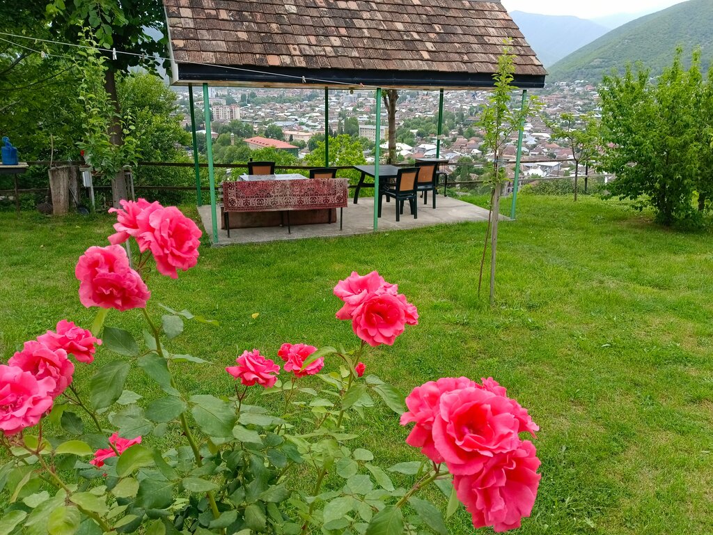 Otel Panorama Guest House Sheki, Şeki, foto