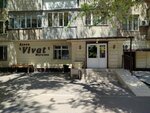 Qiwi (No:4, Juldyz-1 shaǵyn aýdany), ödeme terminali  Almatı'dan