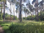 Sports ground (Kurgan Region, Shadrinsk, Gorodskoy bor №1), spor alanı  Şadrinsk'ten