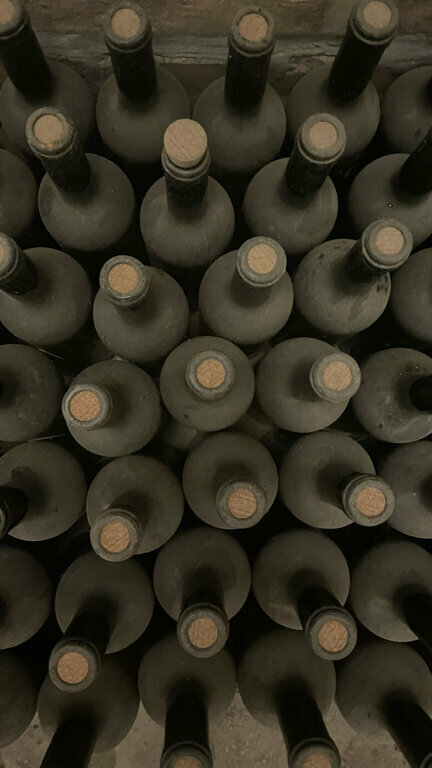 Alkollü içecekler Vinarija Djurdjić, Güney Backa İlçesi, foto