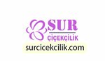 Sur Çiçekçilik ve Fotoğraf (İstanbul, Fatih, Derviş Ali Mah., Aktar Kerim Sok., 23), çiçekçiler  İstanbul'dan