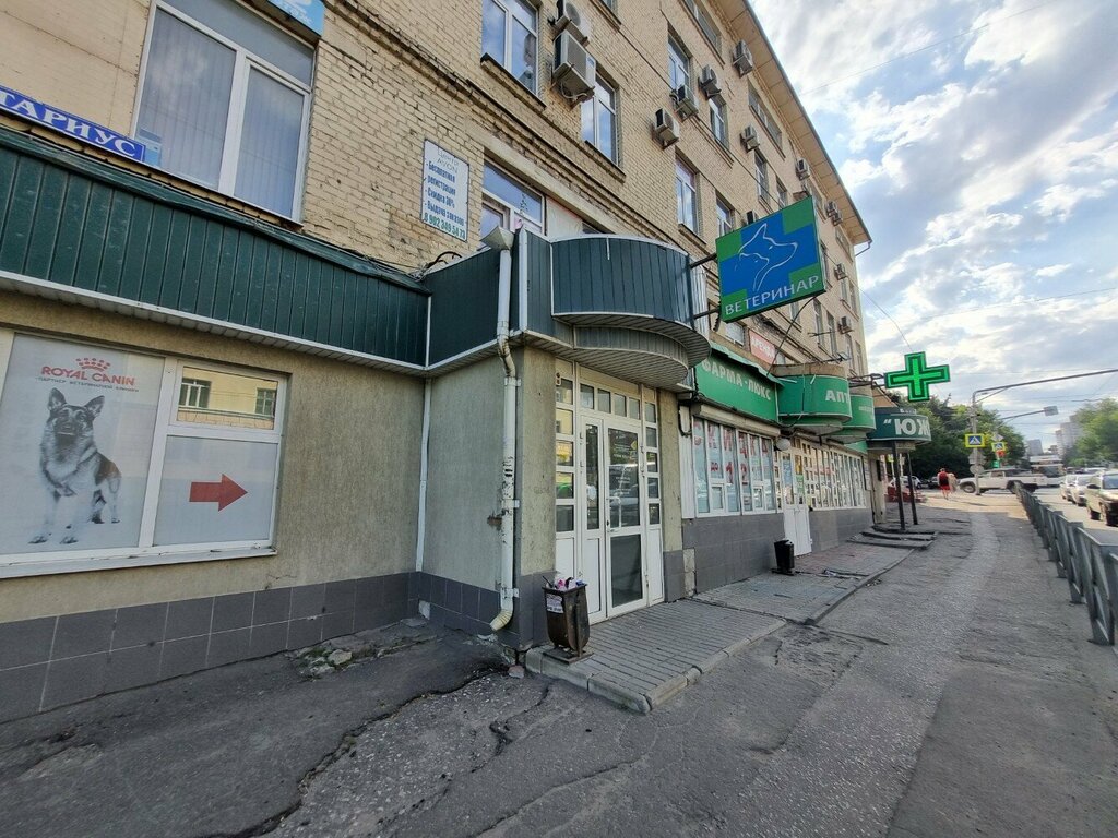 Evcil hayvan kuaförleri Alfadogs, Penza, foto