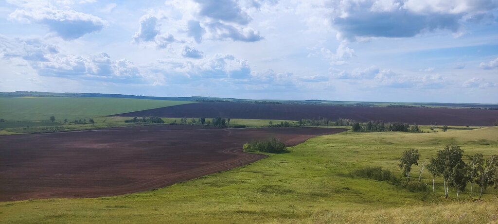 Dağ zirvesi Холм Подшишка, Orenburgskaya oblastı, foto