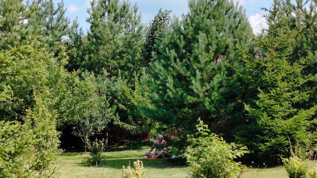 Arazi dizisi Заречье Виладж, Tulskaya oblastı, foto