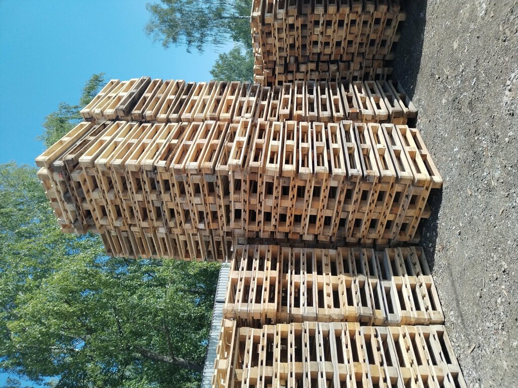 Paketleme malzemeleri firmaları Поддоны, паллеты, Moskova ve Moskovskaya oblastı, foto