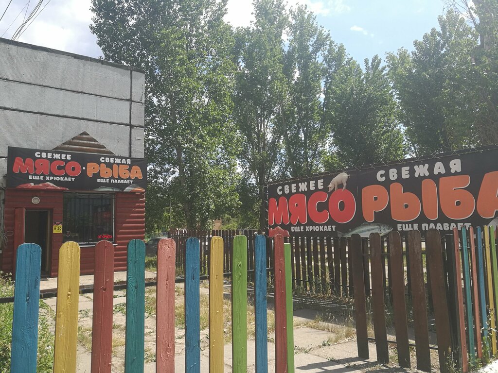 Kasap, şarküteri Мясо Рыба, Tolyatti (Togliatti), foto