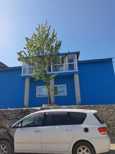 On Rechnoy (Rechnaya Street No:25Ас1), pansiyonlar, hosteller  Magadan'dan