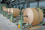 Paper Sacks Factory (15/62, 147th Street, Al Sajaa Industrial, Al Sajaah, Sharjah), paketleme malzemeleri firmaları