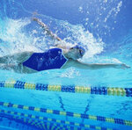 Dolphin Sports Services (Sheikh Rashid Bin Saeed Street No:651), fitness ve spor ekipmanı firmaları  Abu Dabi'den