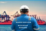 Blue Ocean Maritime Consultancies Services (Saheel Building 1, Al Nahda First, Deira, Dubai), gemicilik acenta hizmetleri  Dubai'den