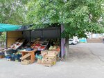 Магазин фруктов (Chuvash Republic, Cheboksary, Novoyuzhniy Microdistrict), manavlar  Cheboksary'den