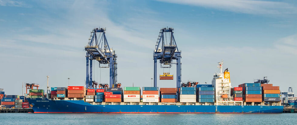 Arama çalışmaları Robert Lyon International Settlement Services, Dubai, foto
