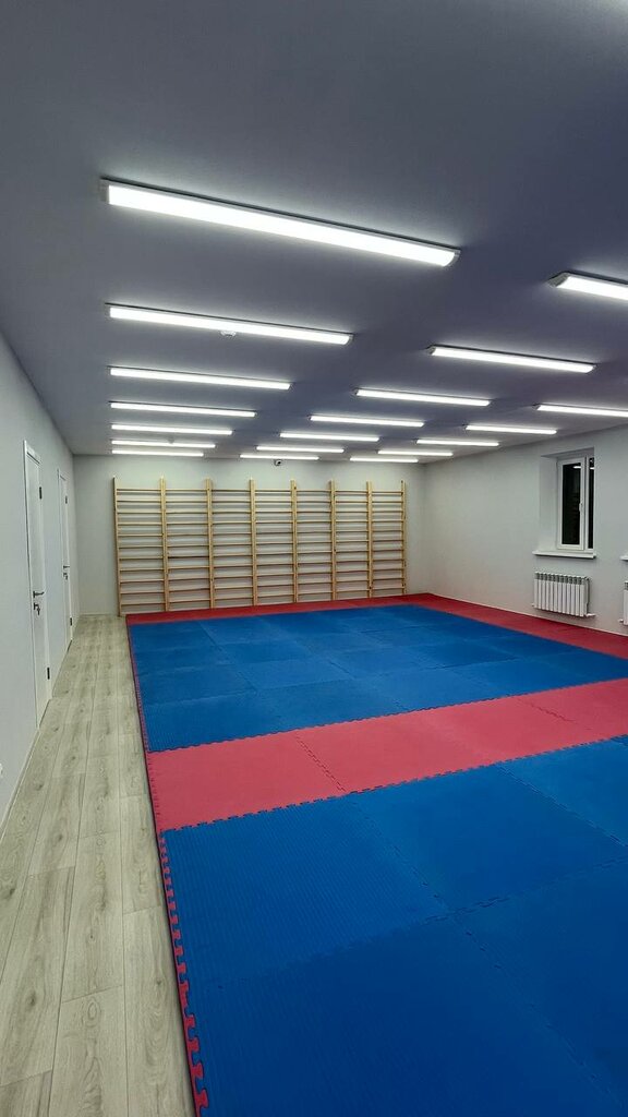 Çok amaçlı spor tesisleri Гармония, Saratov, foto