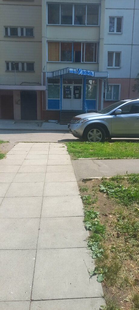 Market У дома, Snejinsk, foto