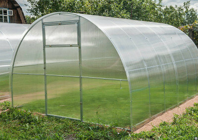 Sera ekipmanları Peterburgskiye teplitsy, Saint‑Petersburg, foto