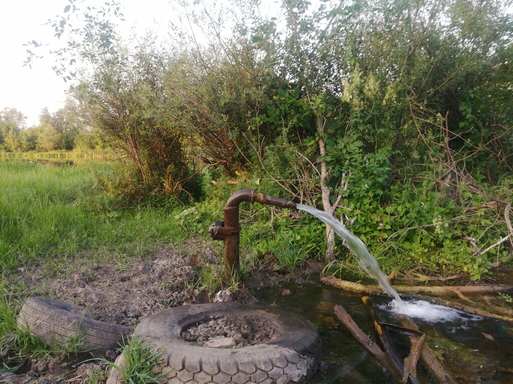 Pınar, çay Spring, stream, Samarskaya oblastı, foto