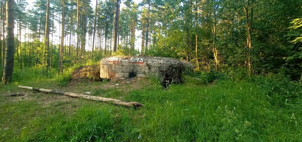 Turistik yerler Дот, Kingisepp, foto